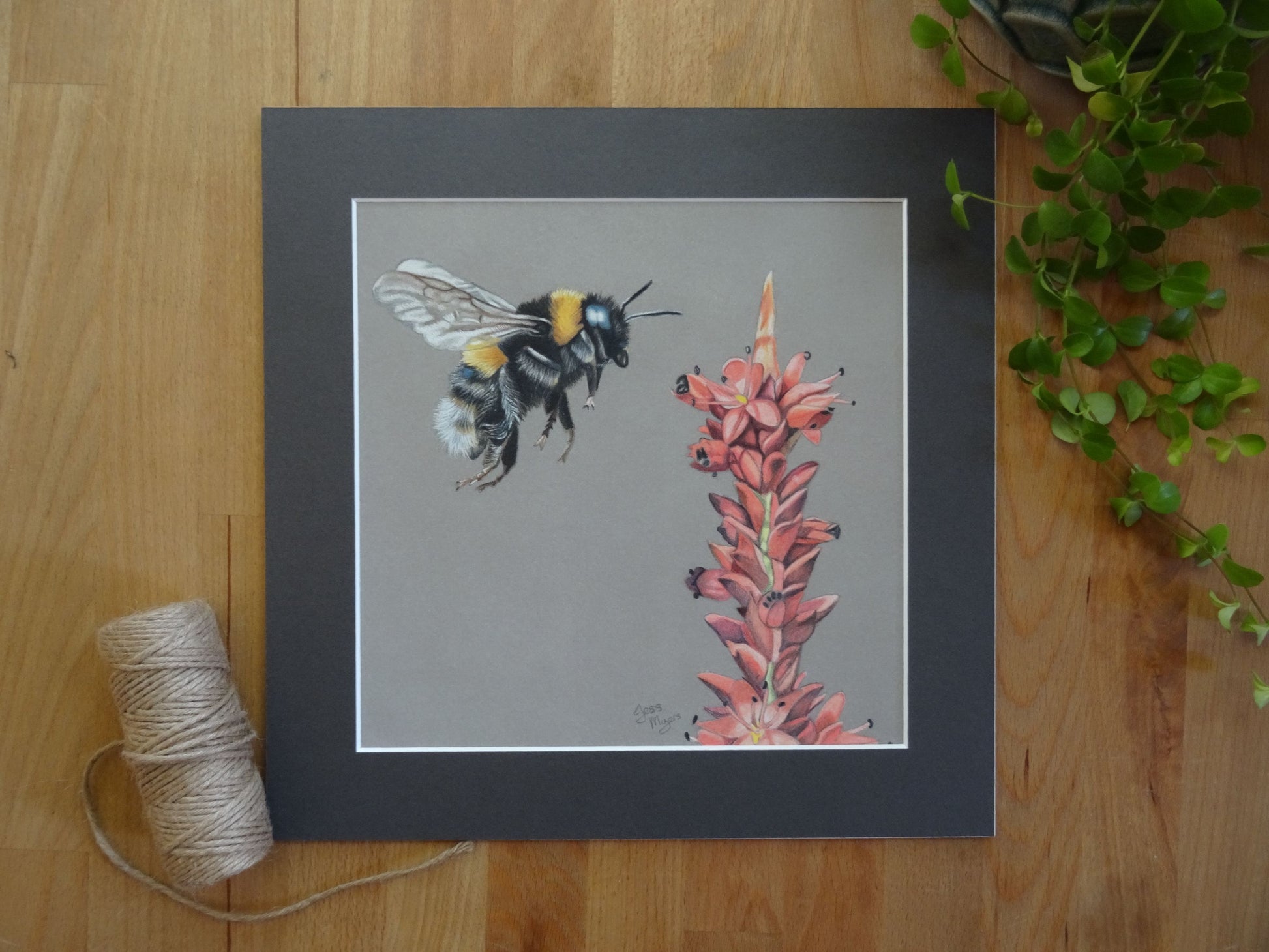 Large "Bumble Bee" Giclée Print – Jess Myers Art